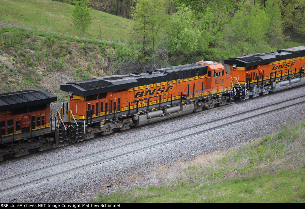 BNSF 8286